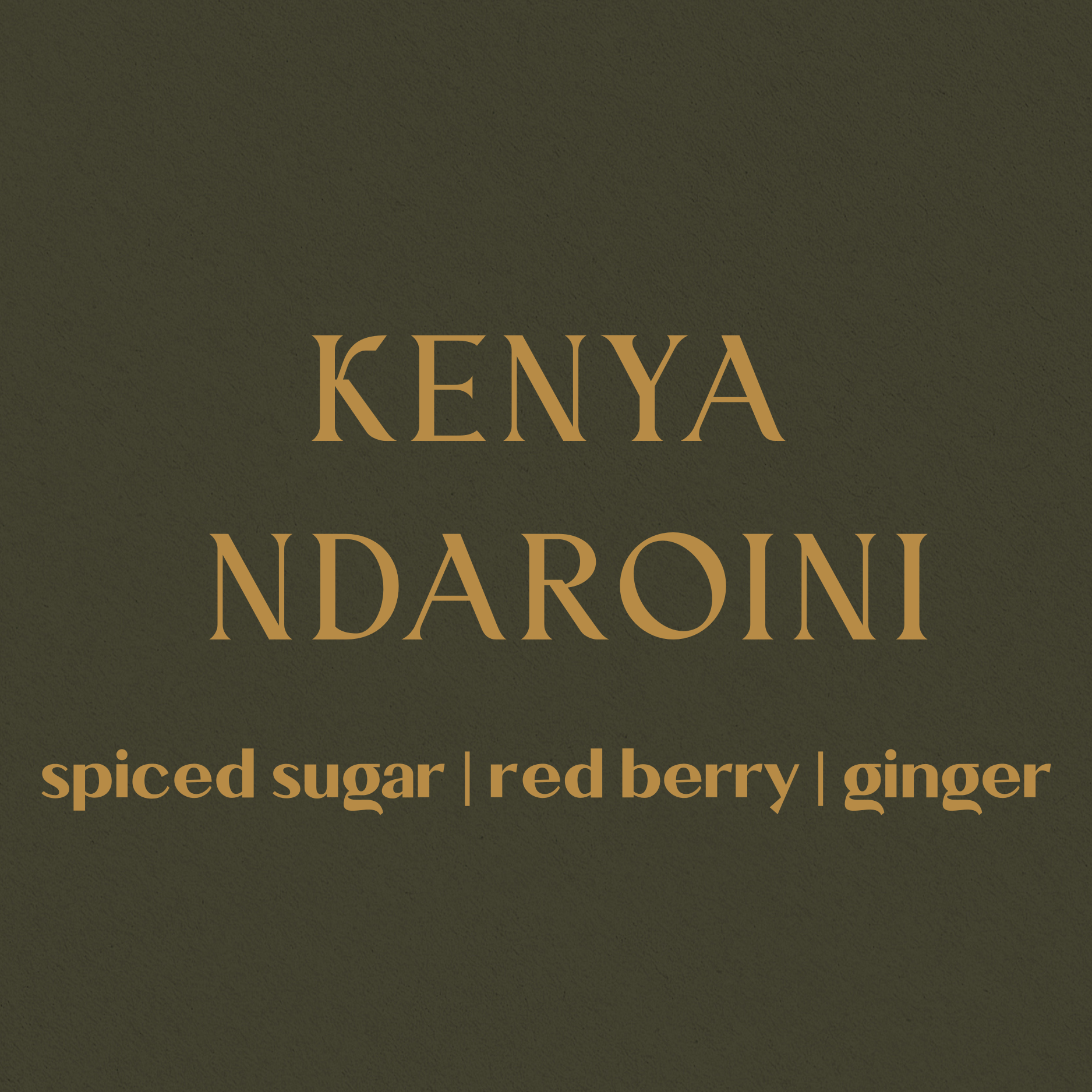 Kenya Nyeri Ndaroini – Inheritance Coffee